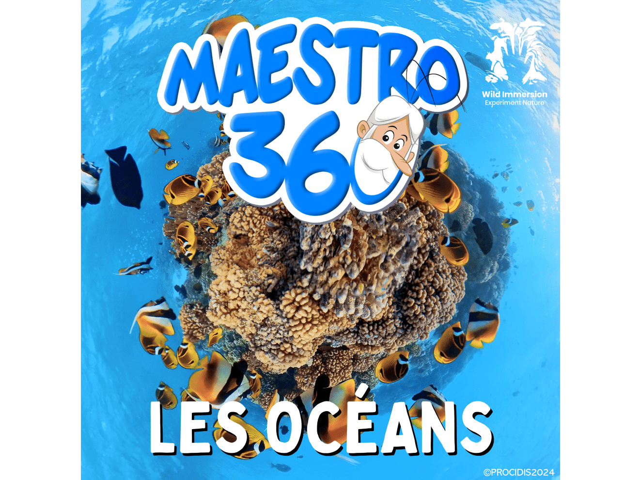 L'univers Hello Maestro - Vidéo